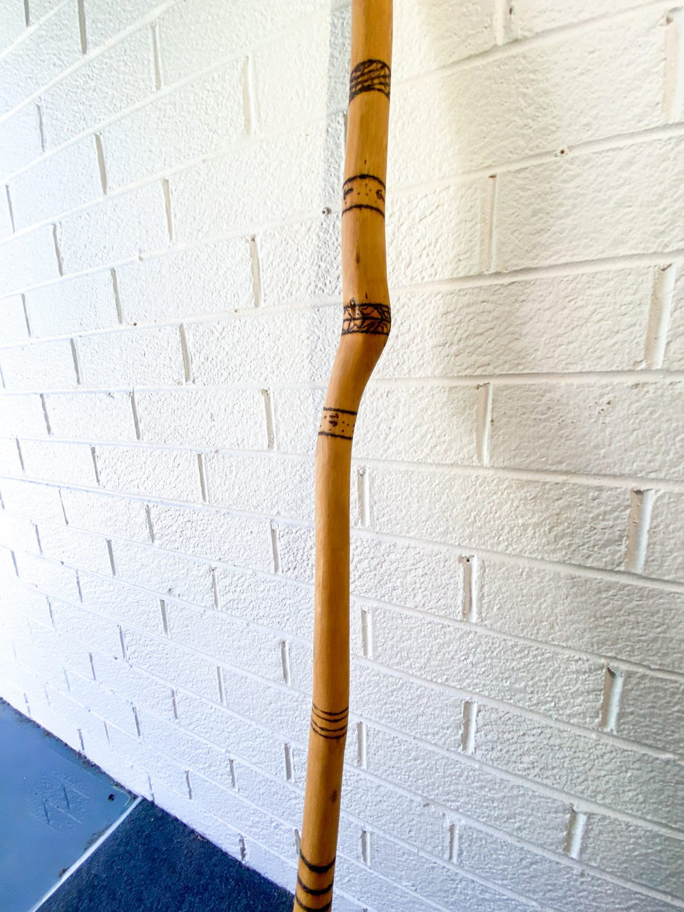 Mallee Waking Stick – Girri Girra